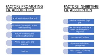 CALCIUM METABOLISM and vit d DENTISTRY.pptx