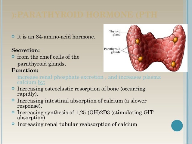 Calcium metabolism disorders
