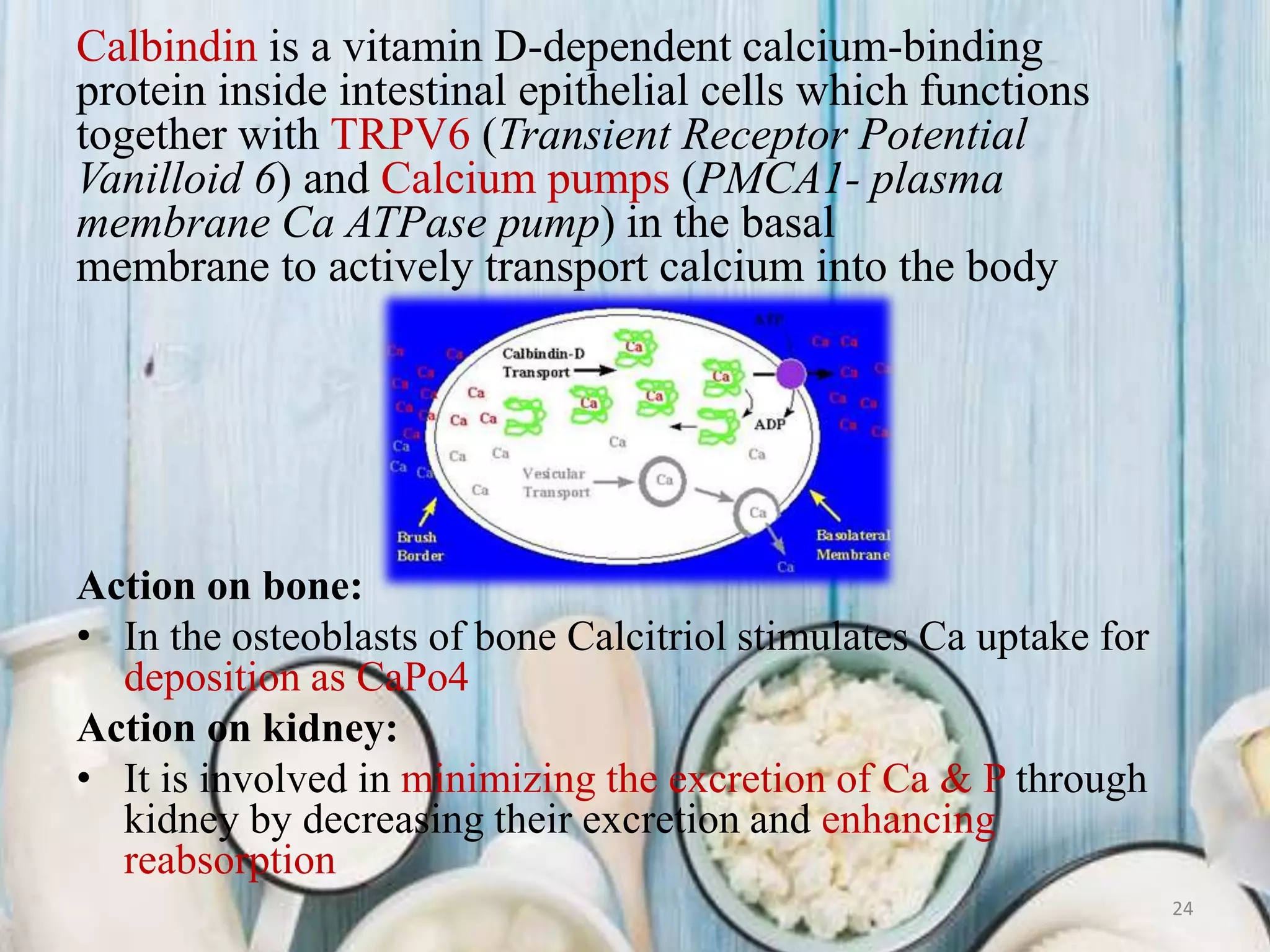 Calcium metabolism & disorders | PPTX