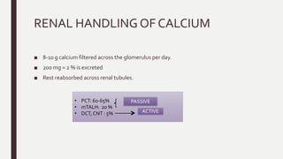 Calcium Metabolism and Hypocalcemia | PPTX