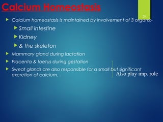 Calcium metabolism made asy | PPT