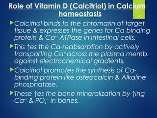 Calcium metabolism made asy | PPT