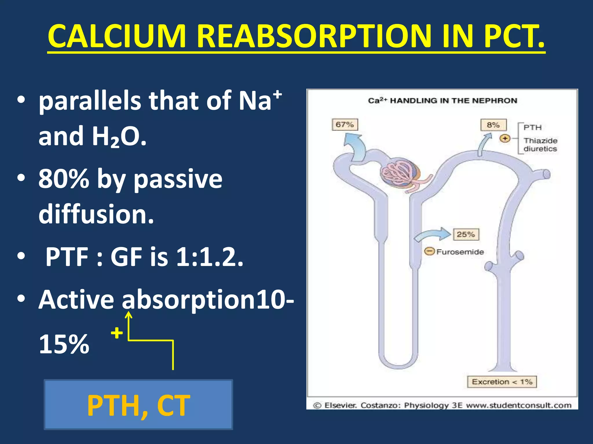 Calcium metabolism,ppt | PPTX