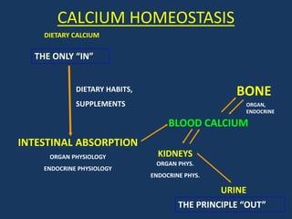 Calcium metabolism,ppt | PPTX