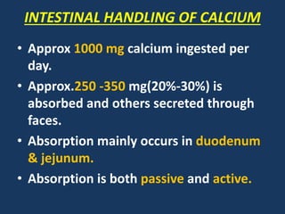 Calcium metabolism,ppt | PPTX
