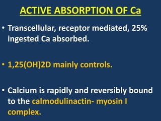 Calcium metabolism,ppt | PPTX