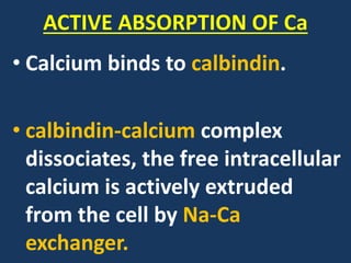 Calcium metabolism,ppt | PPTX