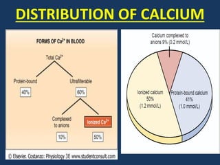 Calcium metabolism,ppt | PPTX