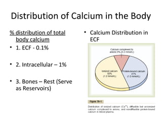 Calcium metabolism, vitamin d, parathyroid hormone | PPT