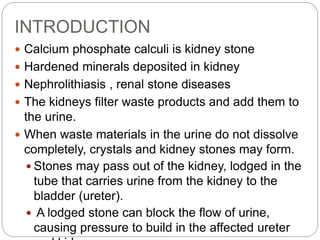 Basic Calcium Phosphate Crystals