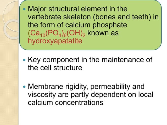 Calcium & Phosphate Metabolism | PPTX | Endocrine and Metabolic ...