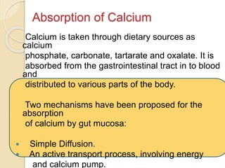 Calcium & Phosphate Metabolism | PPTX