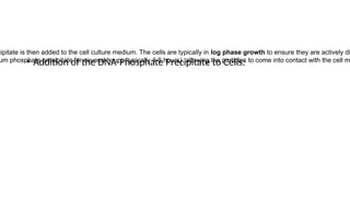 Calcium phosphate method. briefs explanation | PPTX