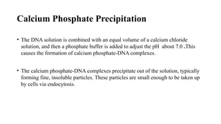 Calcium phosphate method. briefs explanation | PPTX
