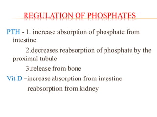 Calcium ,phosphorous ,pth ,vit d | PPT
