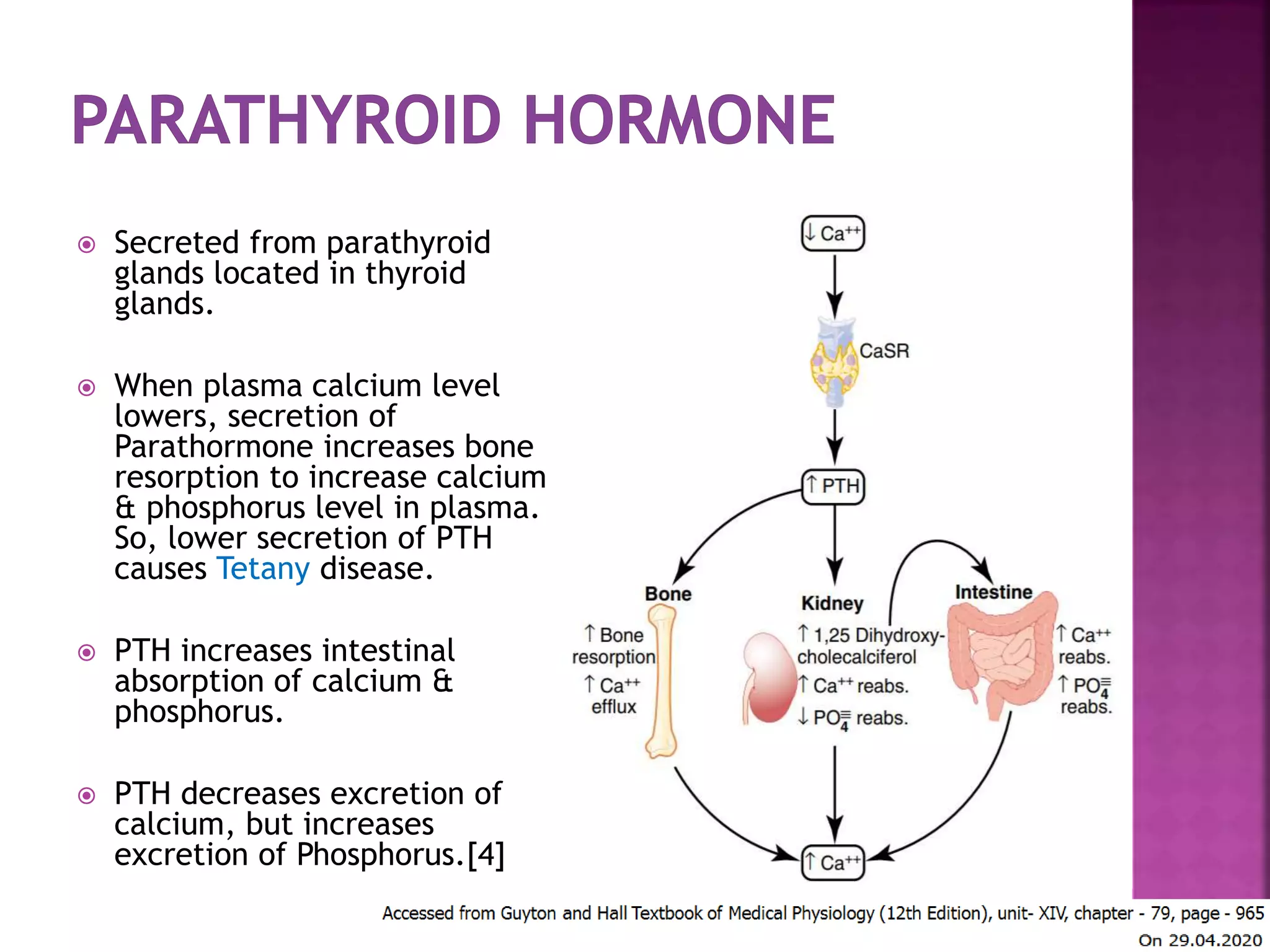 Calcium & phosphorus balance | PPTX