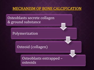 Calcium & phosphorus metabolism and its applied aspects | PPTX