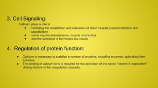 Calcium, phosphorus, potassium | PDF | Bone and Joint Conditions ...