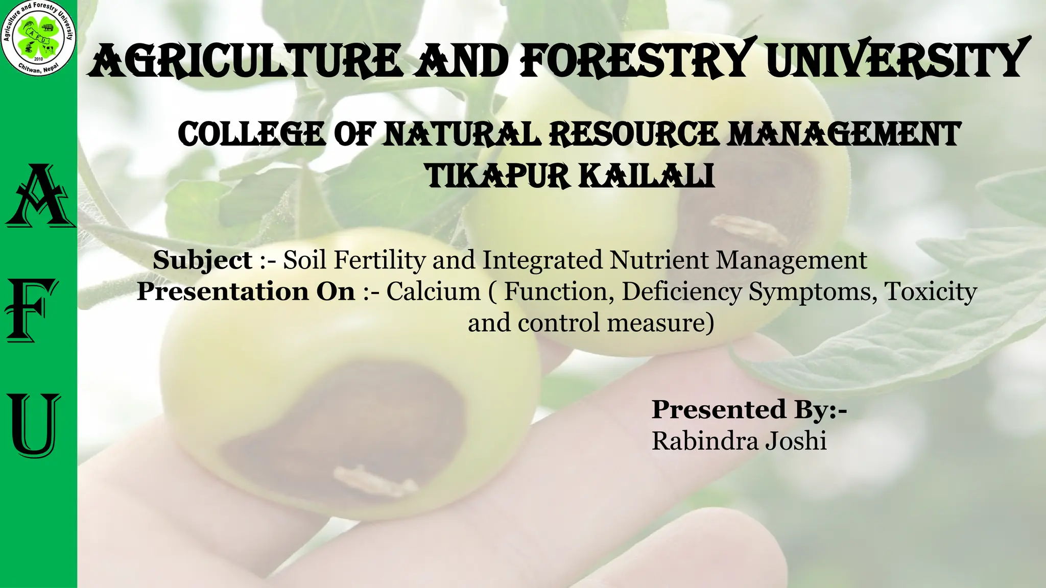 Essential plant nutrient Calcium ppt.pptx