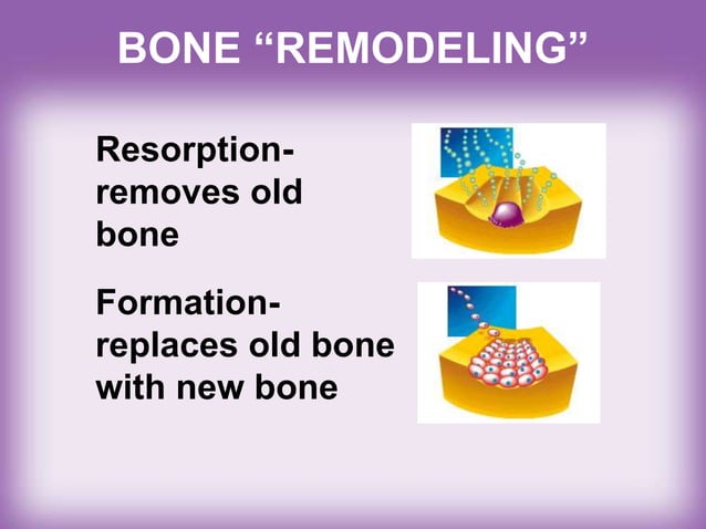 Calcium Presentation-revised.ppt