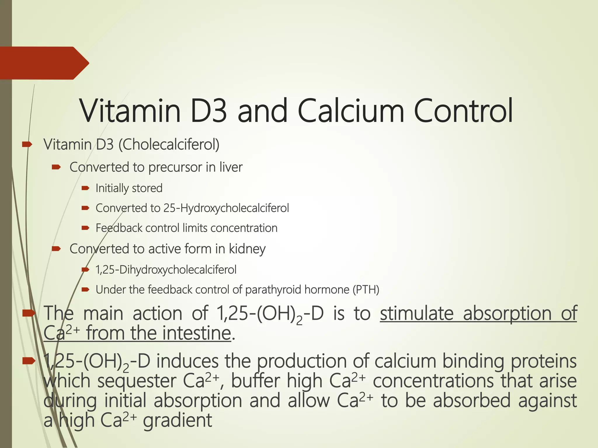 Calcium regulation | PPTX