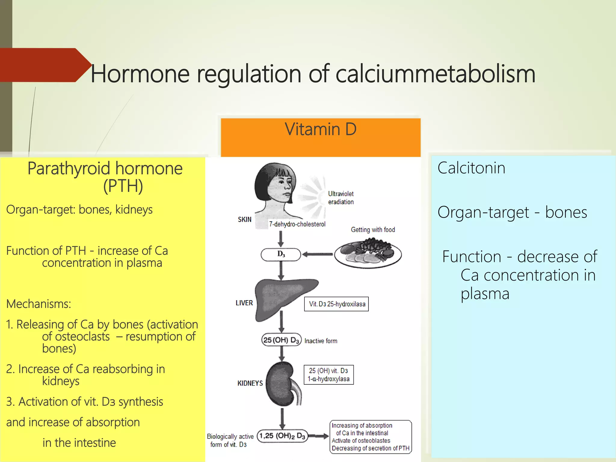 Calcium regulation | PPTX