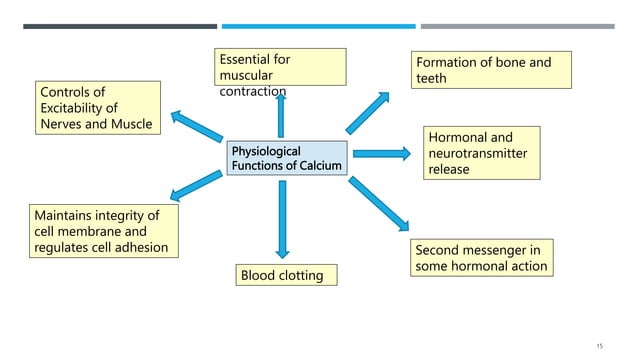 Calcium regulation.pptx