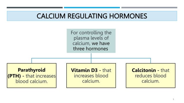 Calcium regulation.pptx
