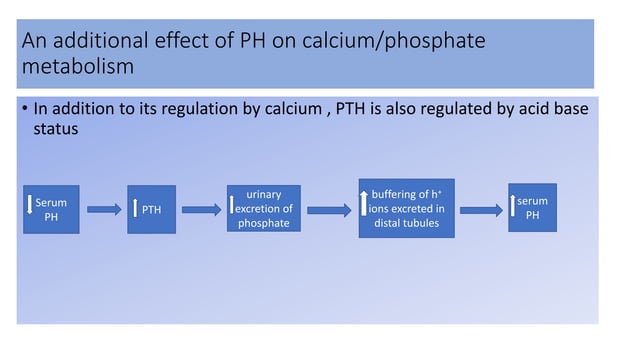 CALCIUM REGULATION.pptx