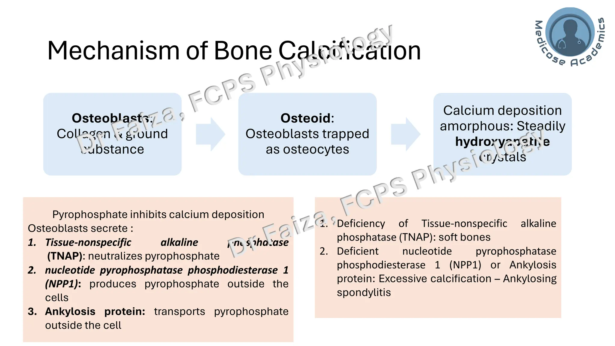 Calcium regulation hormones_ PTH, Vitamin D & Calcitonin.pdf