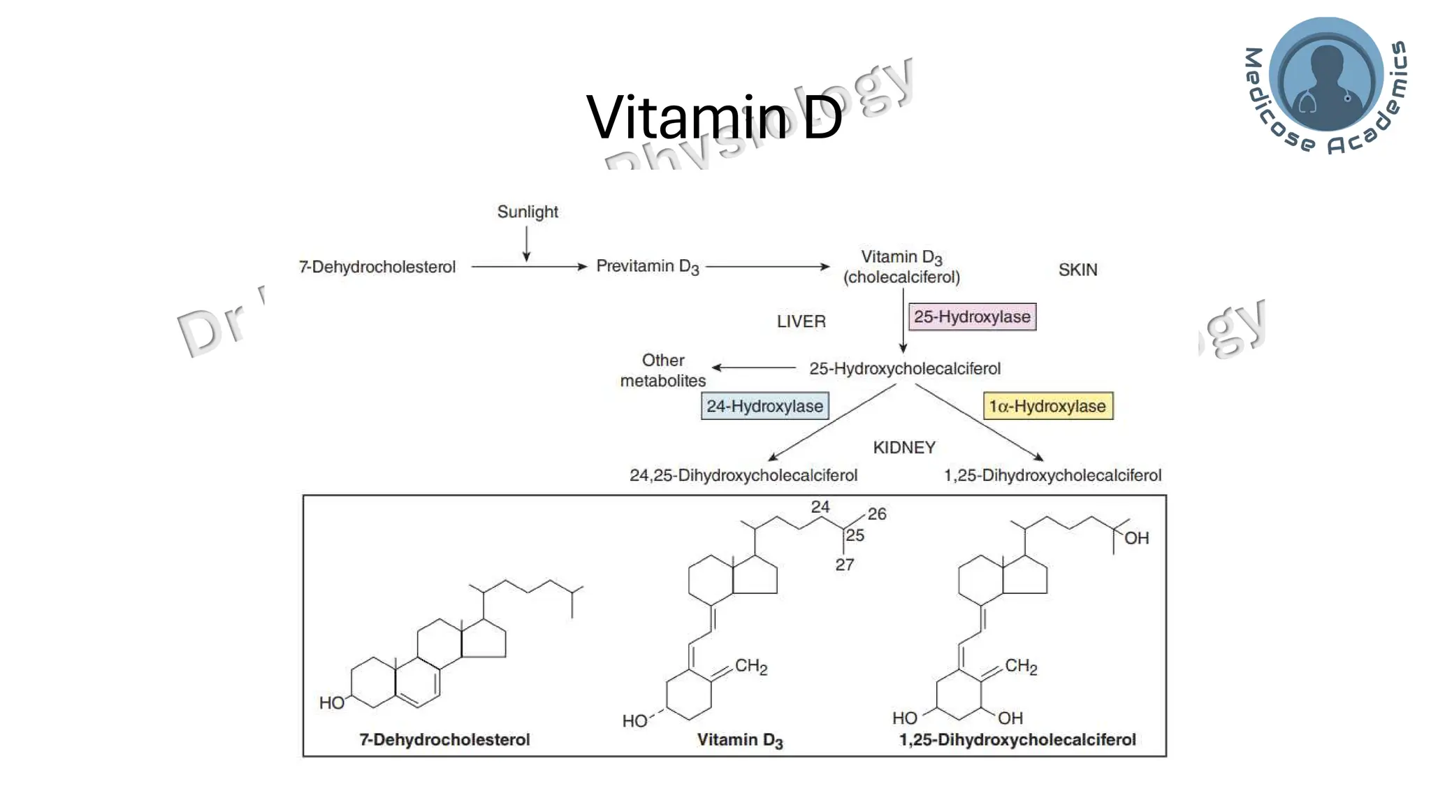 Calcium regulation hormones_ PTH, Vitamin D & Calcitonin.pdf