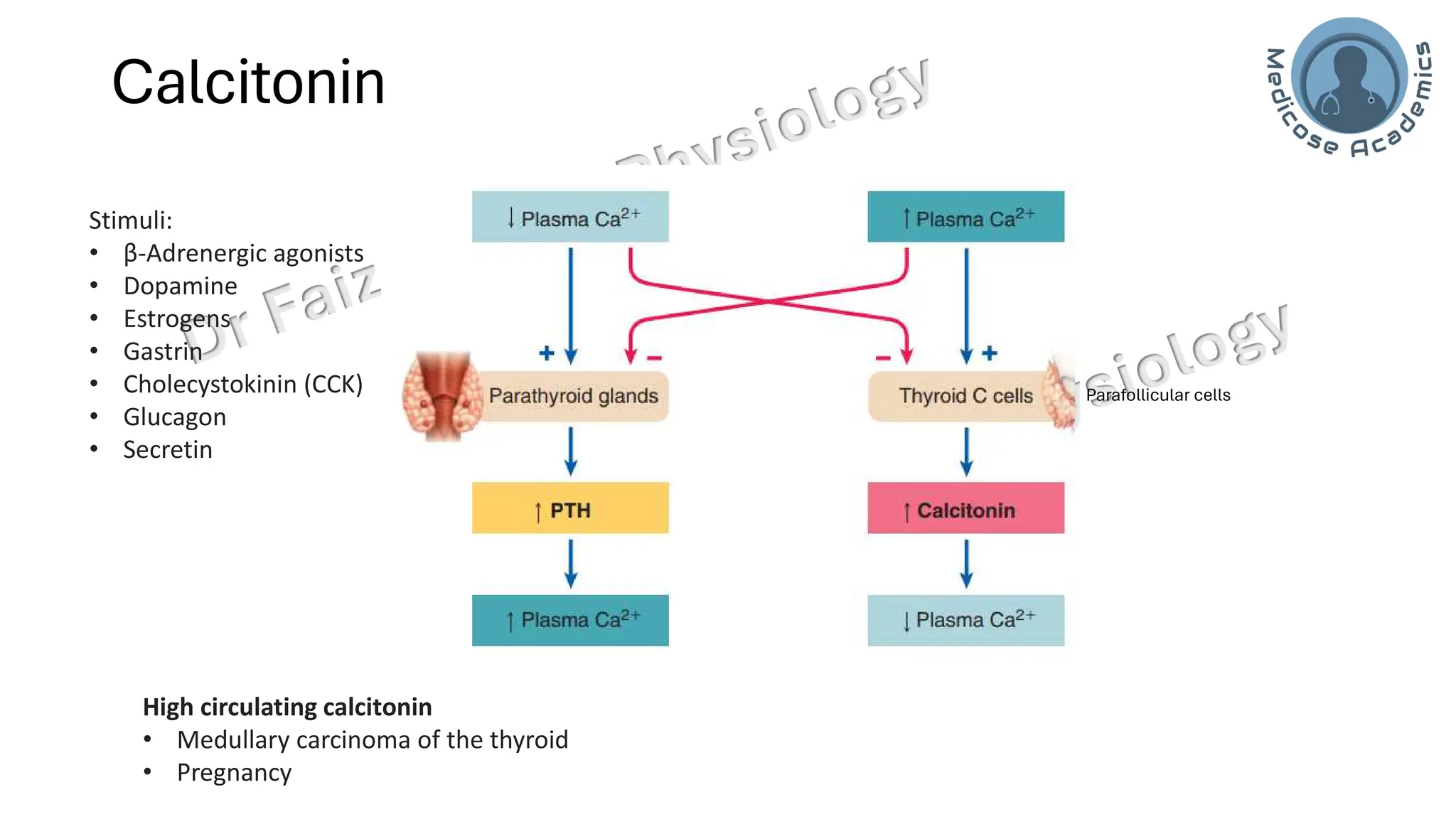 Calcium regulation hormones_ PTH, Vitamin D & Calcitonin.pdf
