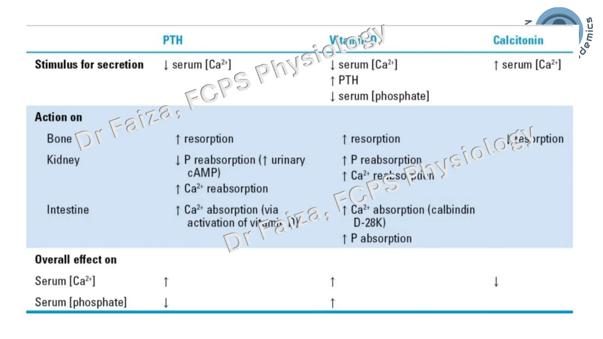 Calcium regulation hormones_ PTH, Vitamin D & Calcitonin.pdf