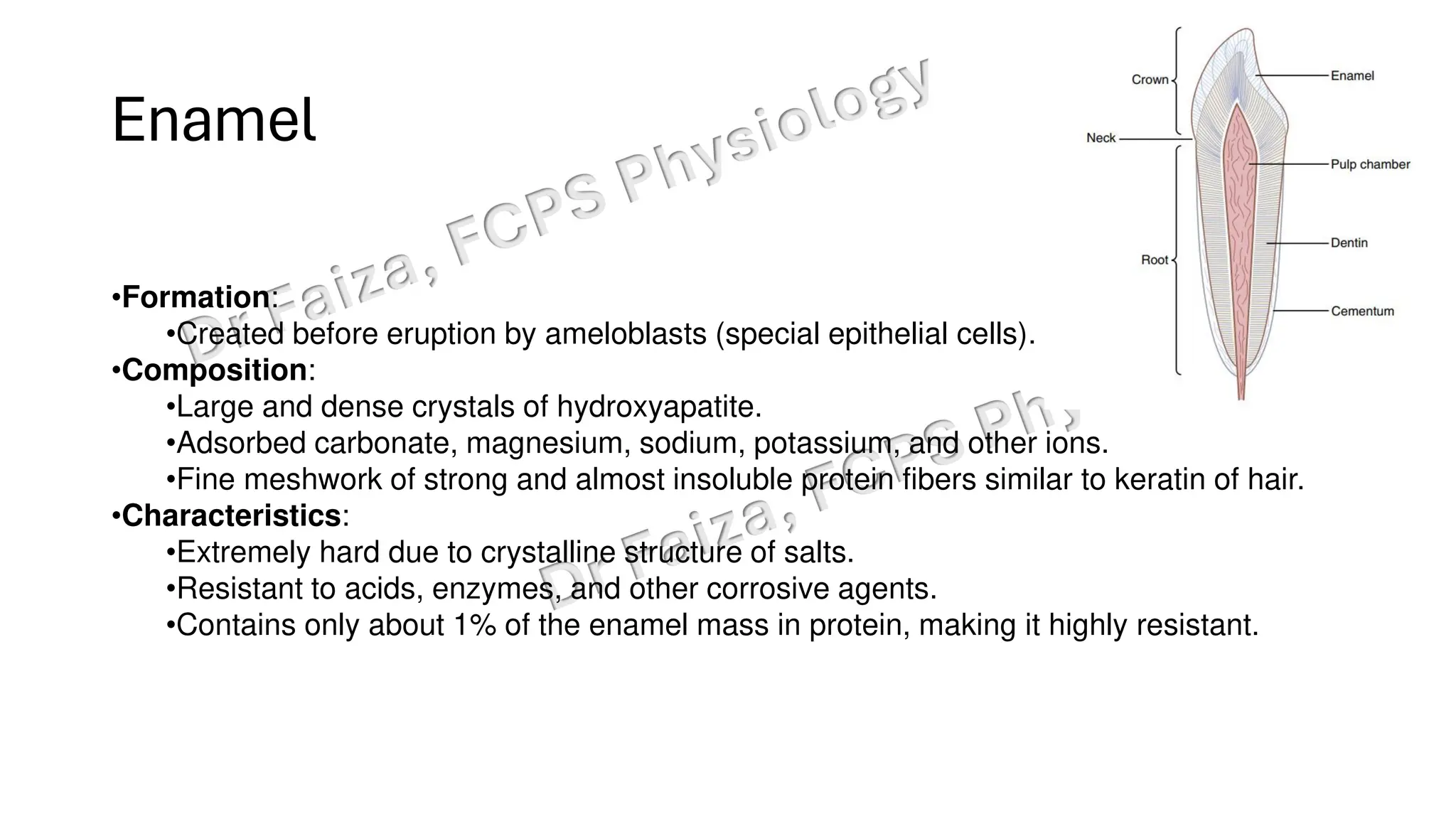 Calcium regulation hormones_ PTH, Vitamin D & Calcitonin.pdf