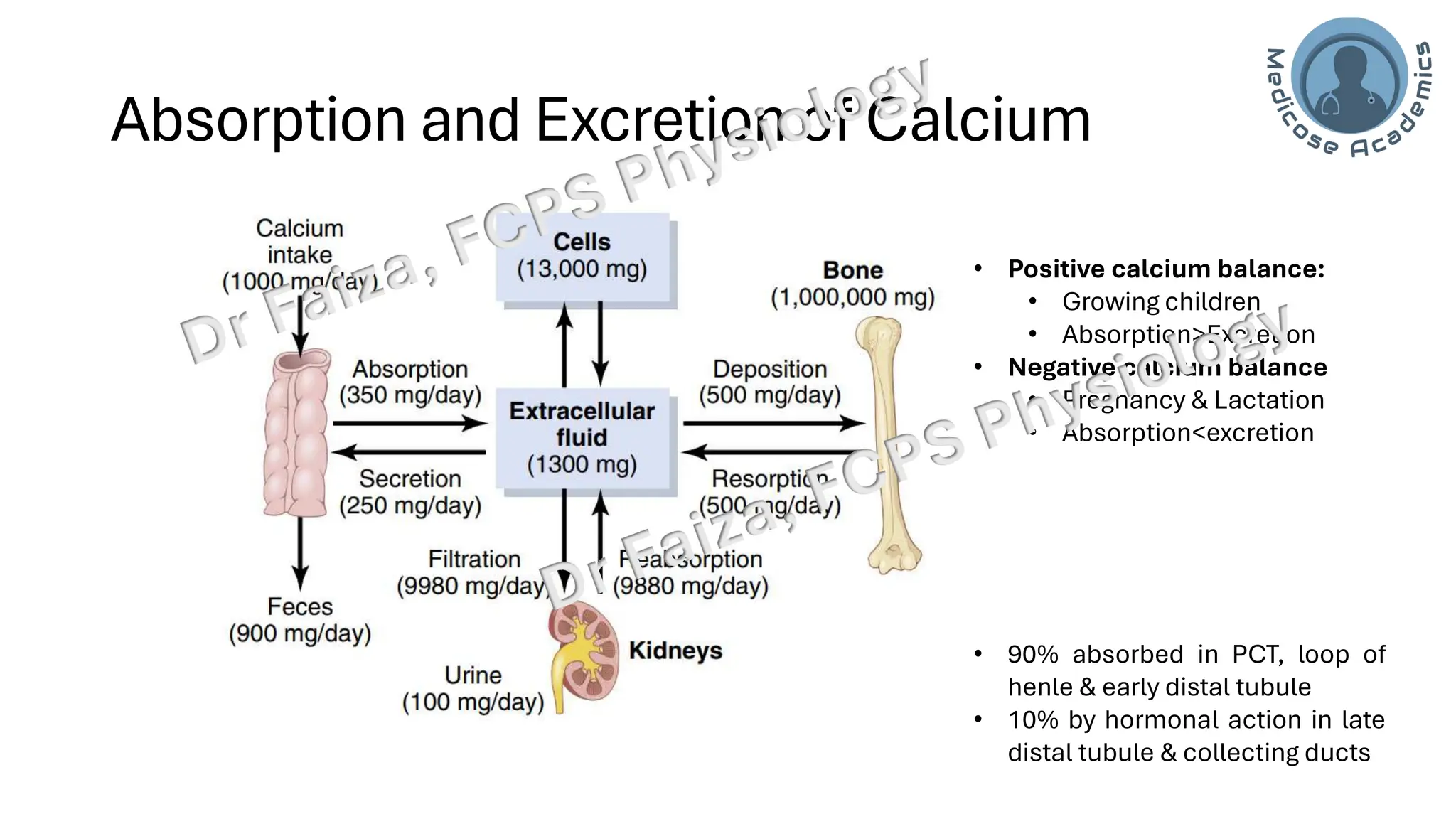 Calcium regulation hormones_ PTH, Vitamin D & Calcitonin.pdf