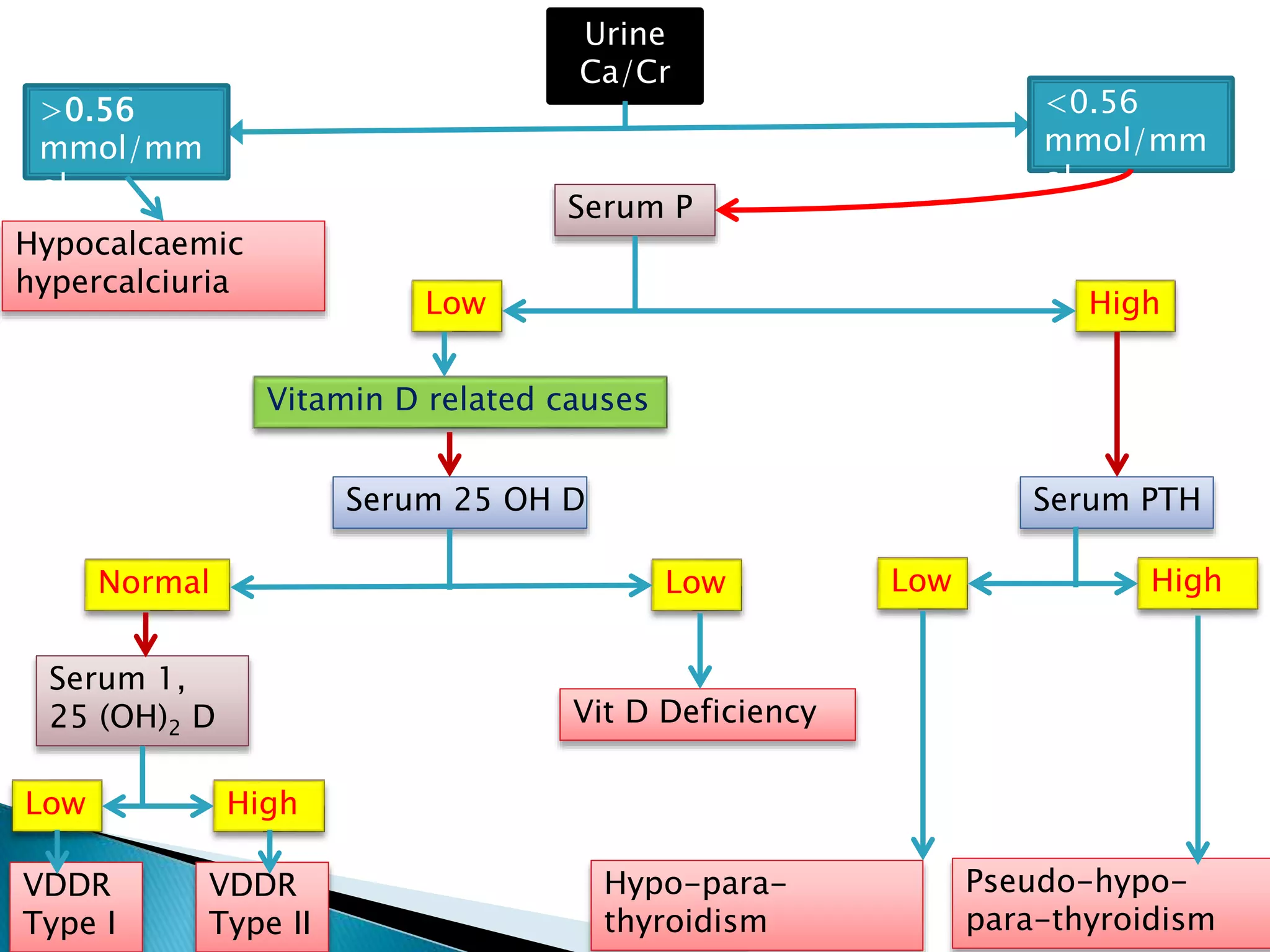 Calcium metabolism and disorders | PPTX