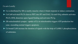 Calcium Signaling and its Implication in Disease | PPTX