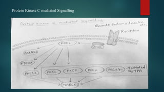 Calcium Signaling and its Implication in Disease | PPTX
