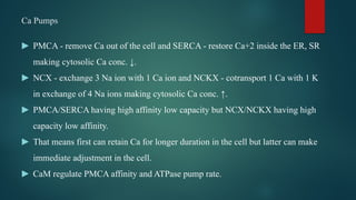 Calcium Signaling and its Implication in Disease | PPTX