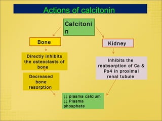 Calcium,vit d,osteoporosis | PPT