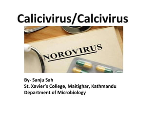 Calcivirus or calicivirus | PPTX