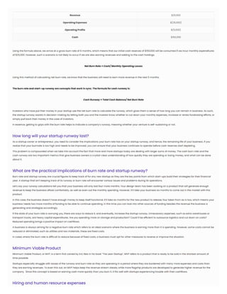 How To Calculate Your Burn Rate And Startup Runway | PDF