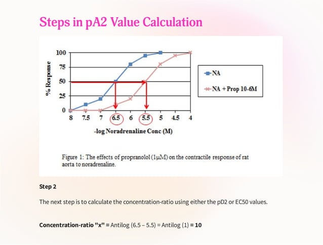 Understanding pA2 and pD2' Values: Calculation and Significance in Pharmacology | PDF ...