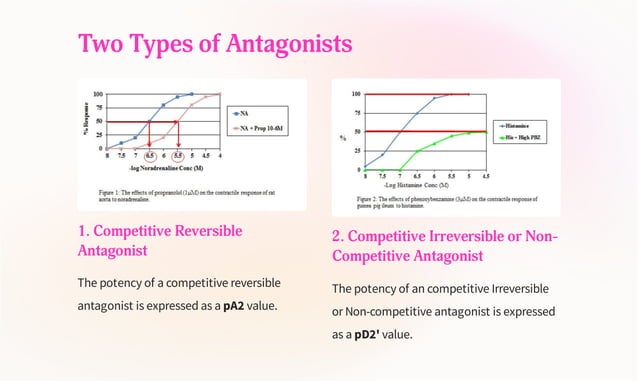 Understanding pA2 and pD2' Values: Calculation and Significance in ...