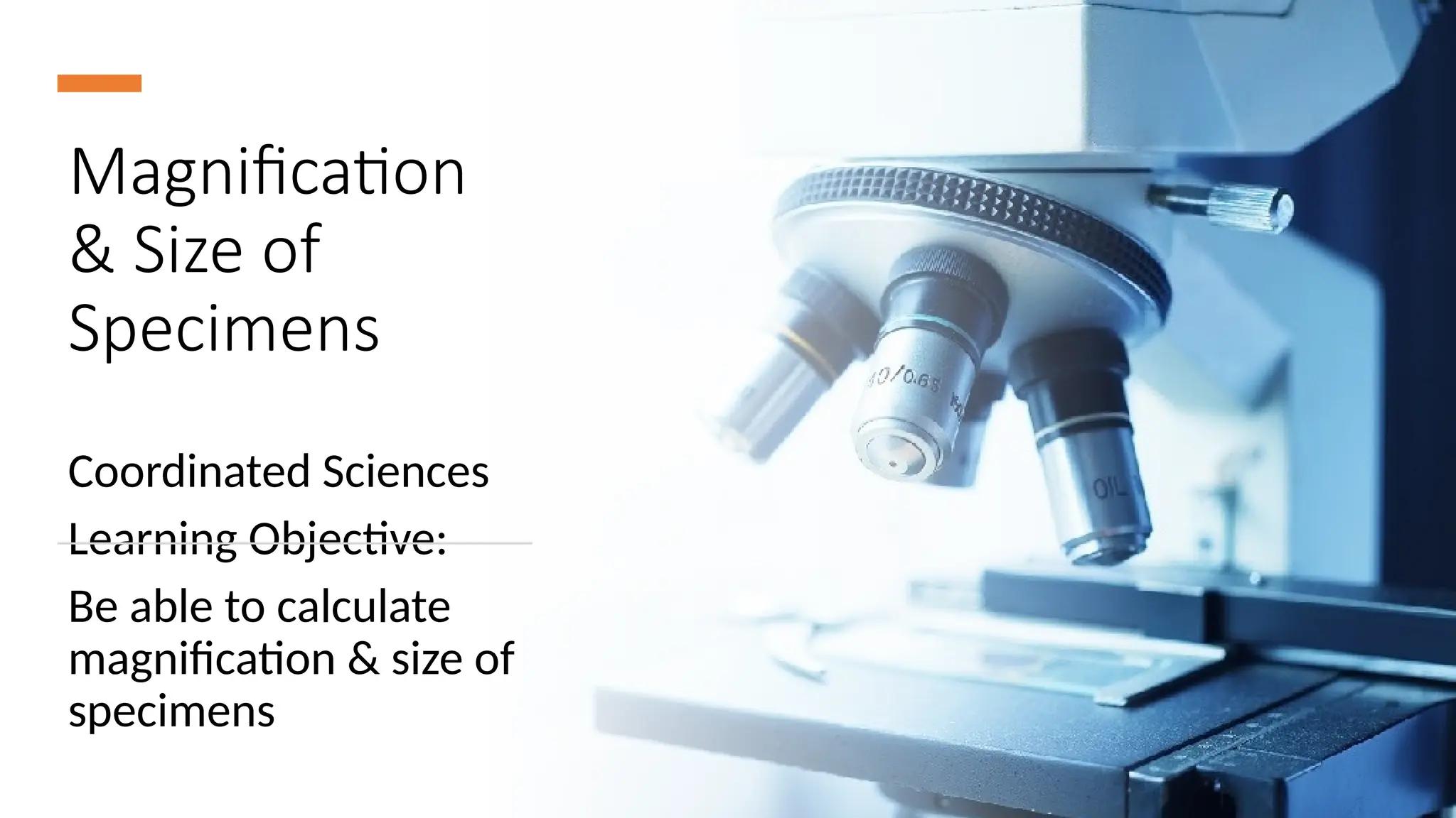 calculatingmagnificationsizeofspecimensupdated-240819071546-3c61fd4f.pptx