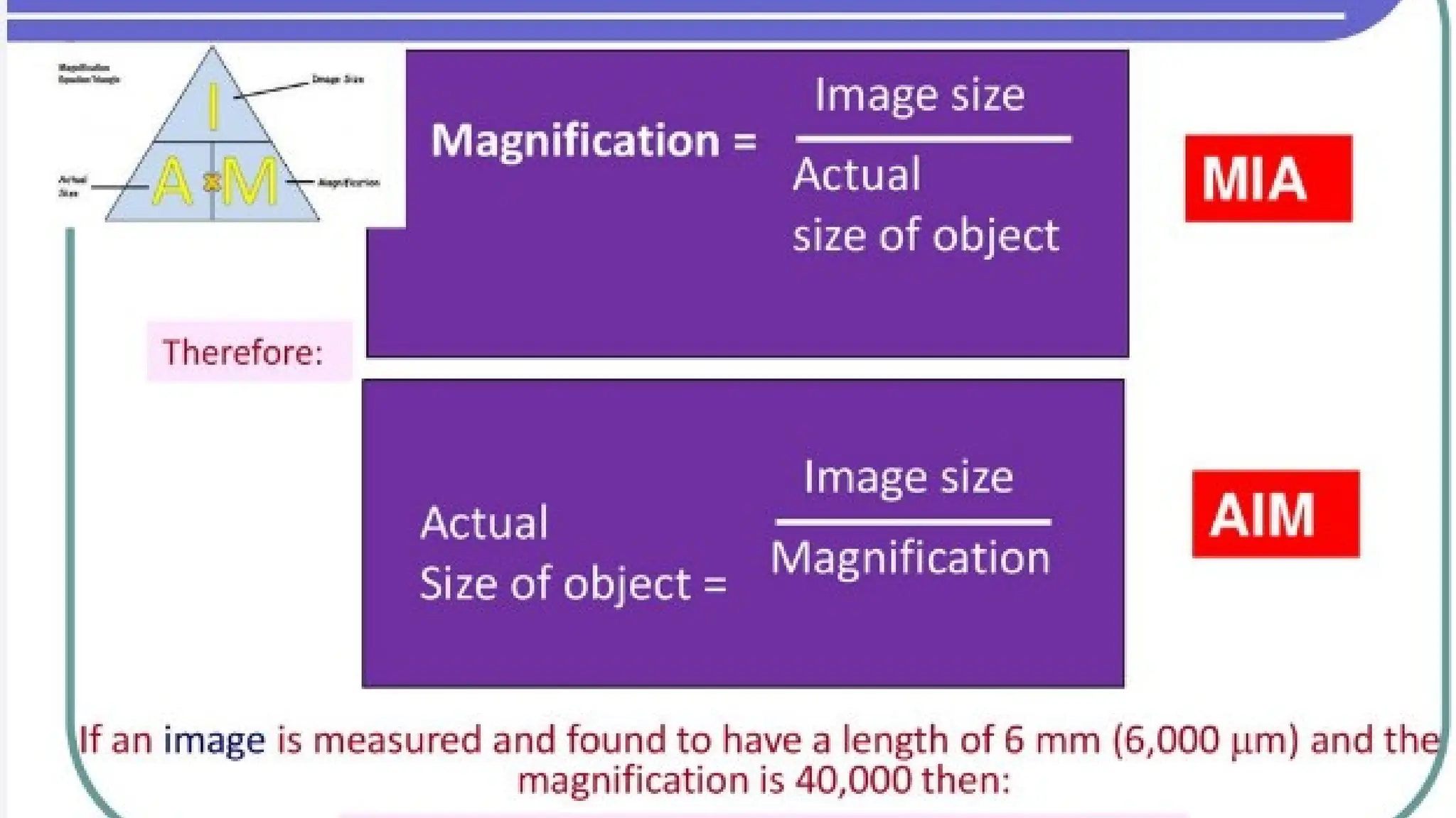 calculatingmagnificationsizeofspecimensupdated-240819071546-3c61fd4f.pptx