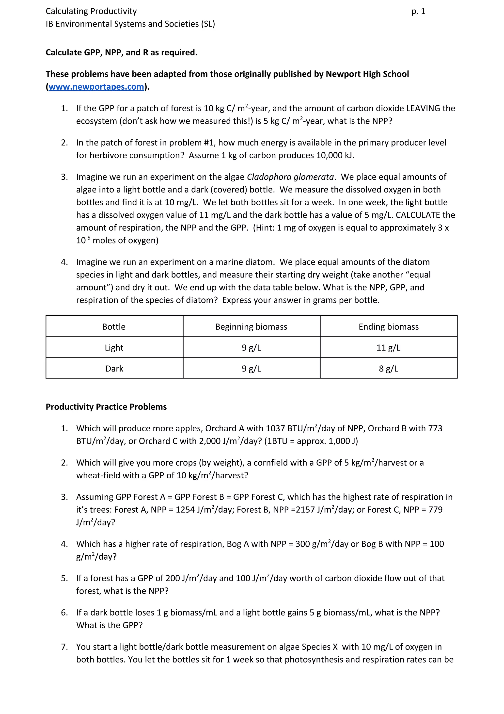 Calculating Productivity | PDF