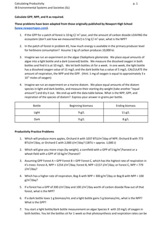 Calculating Productivity | PDF