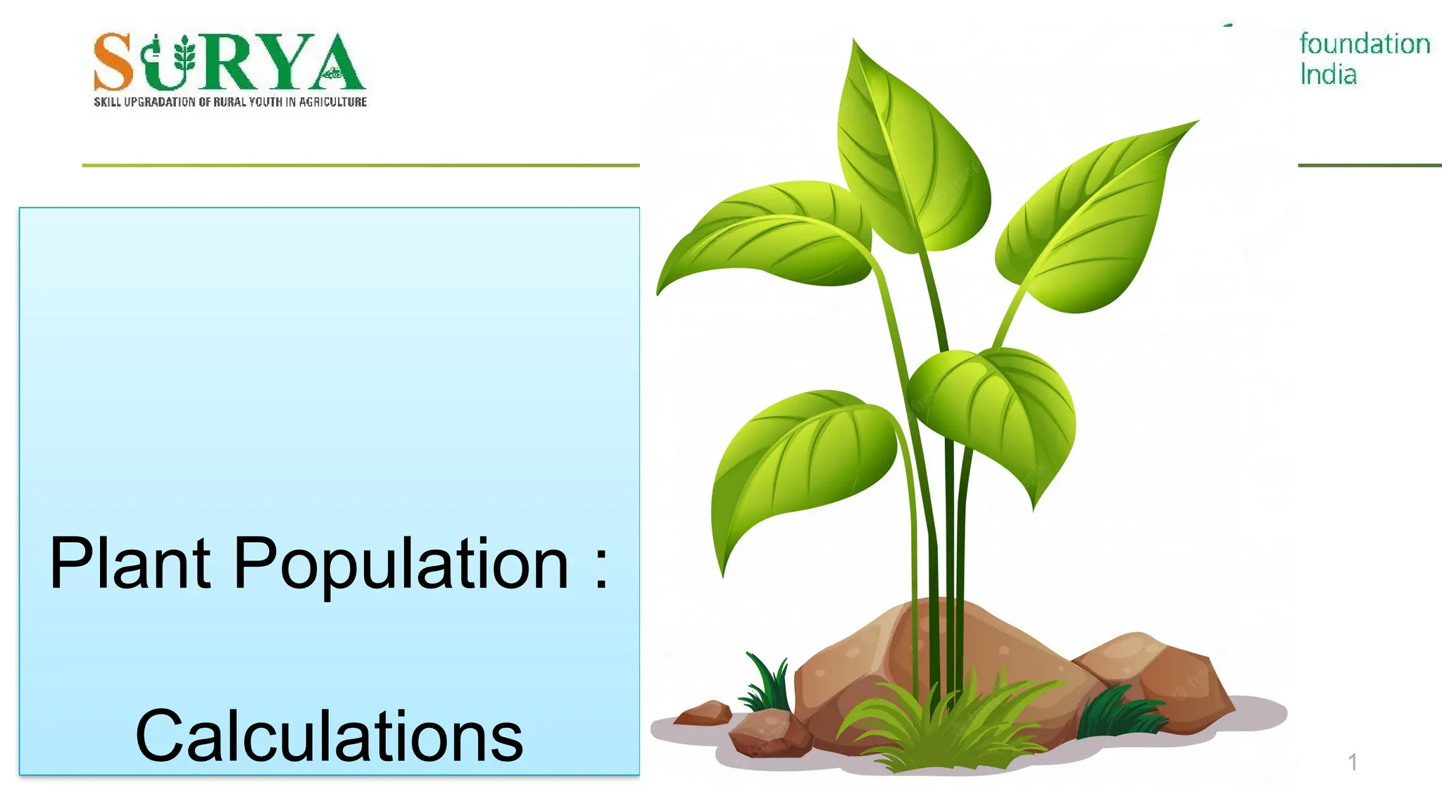 Calculation of Plant population.pptx. . | PPTX