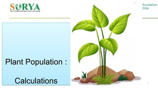 Calculation of Plant population.pptx. . | PPTX
